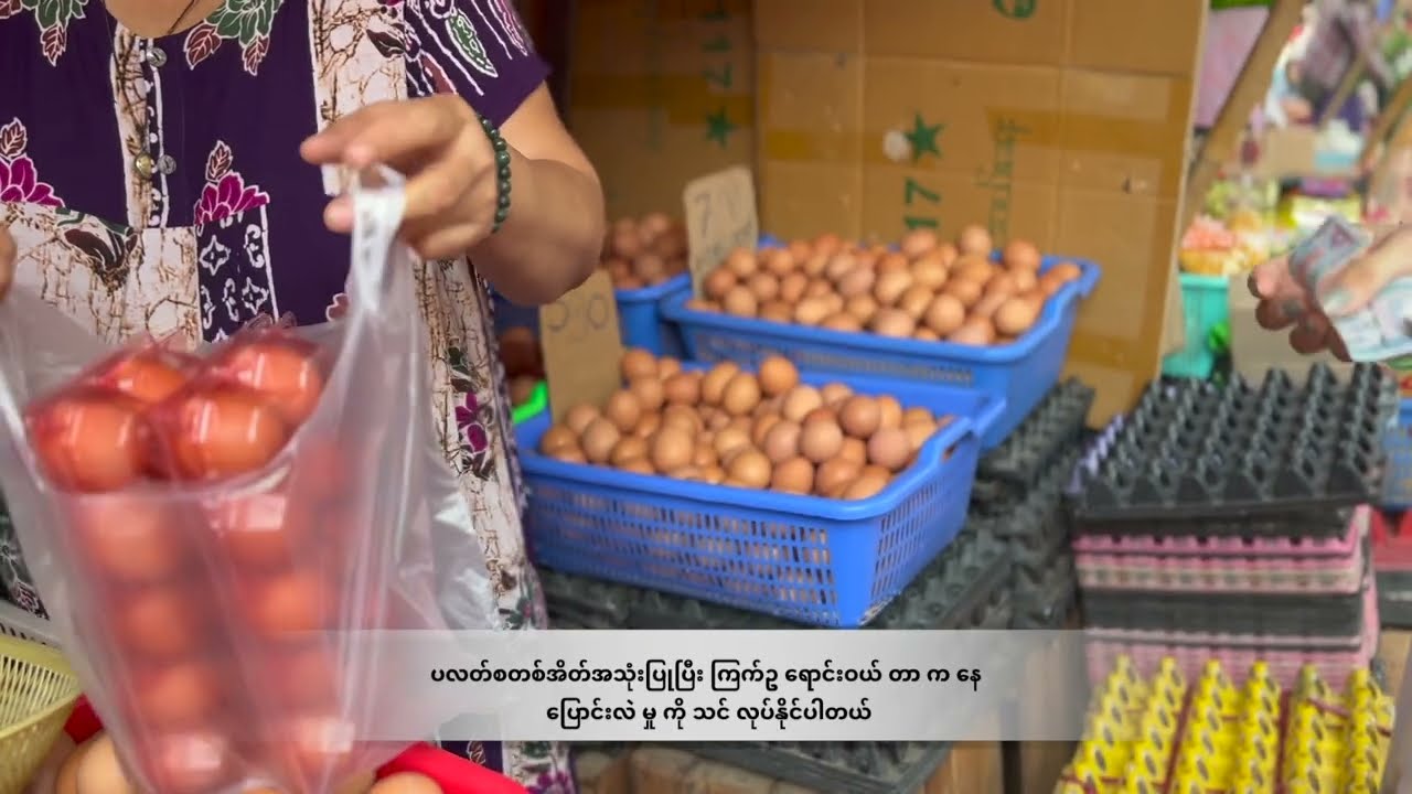 Alternative Packaging for Egg