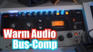 Warm Audio Bus-Comp - What To Know & Where To Buy | Equipboard