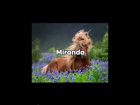 ✨your name, your horse✨ #horse #names #you #outside #beautiful