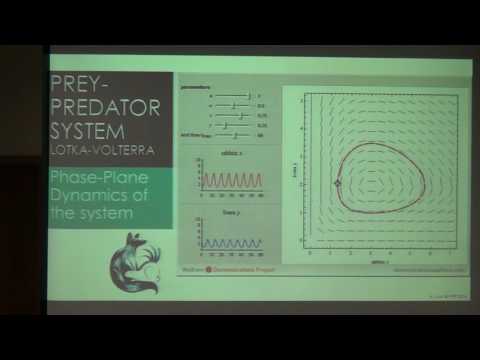 MATHEMATICS AS AN INTERDISCIPLINE The Art of Modeling by Dr. Angelyn Lao (Part 2)