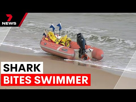 Shark attack near Adelaide leaves swimmer seriously injured | 7NEWS