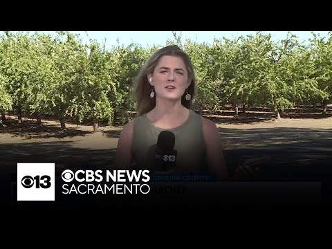 Some San Joaquin County residents lose power, water in PG&E PSPS event