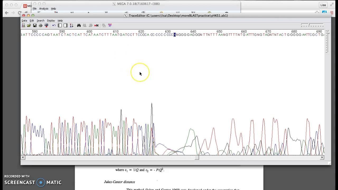 Analyzing DNA Sequences Using MEGA & BLAST