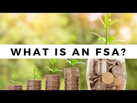 What is a Flexible Spending Account (FSA) and what can I buy with it?