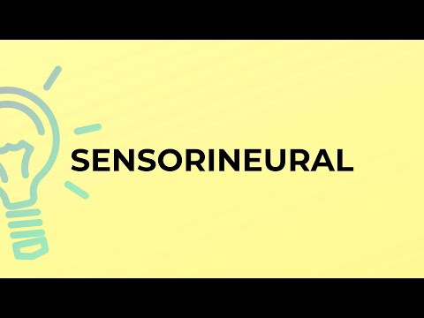 What is the meaning of the word SENSORINEURAL?