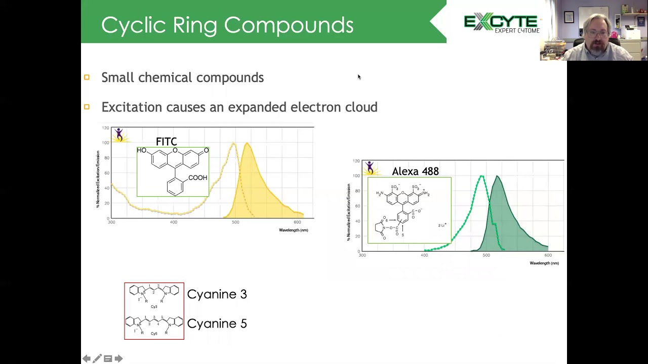 Expert Cytometry Teaching Point - Fluorescence