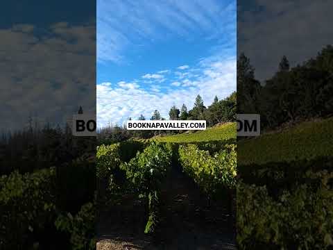 Forman Vineyards Howell Mountain Napa Valley Very Special Amazing Juice #napa #wine