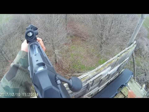 Лов на диви прасета България / Wild boar hunting Bulgaria