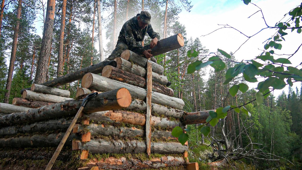 4 Days Alone In The Forest  | Building Log Cabin