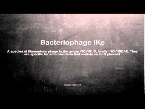 Medical vocabulary: What does Bacteriophage IKe mean