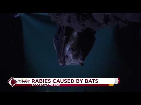 Health Headlines: July 6, 2019