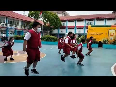 Meniru gerak kelinci melompat