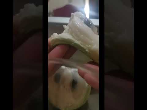 Star Apple + Ilocana Mum's Story 🤣