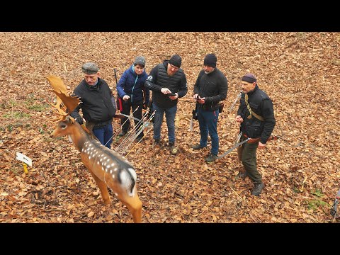 New Year's Eve 3D Archery 🏹 2024-2025 🎉