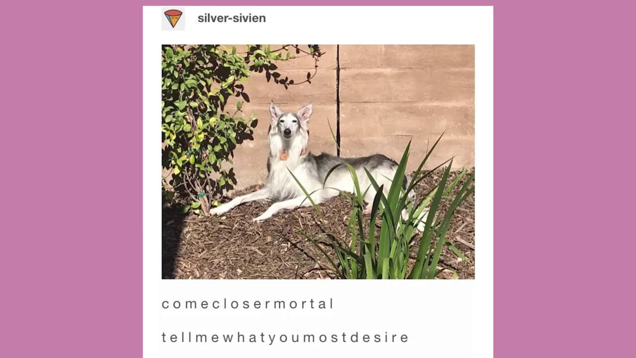 Math was our Downfall | Late Night Tumblr Posts