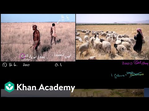 Agriculture and human population (video) | Khan Academy