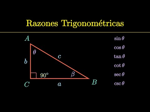 ¡Domina las Razones Trigonométricas en menos de 20 Minutos!