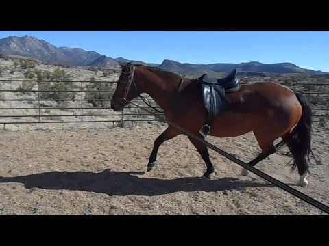Lazy Horse Ranch Feleciana March 2014