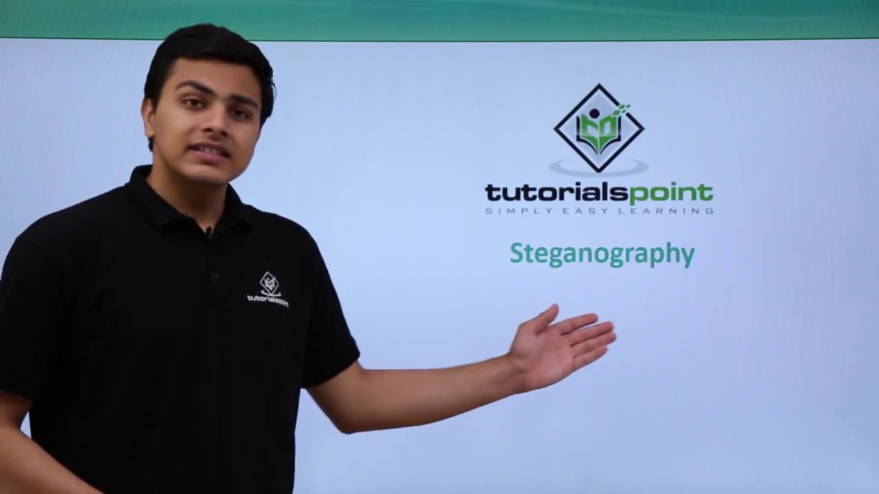 Understanding Steganography: The Art of Hiding Information | Galaxy.ai