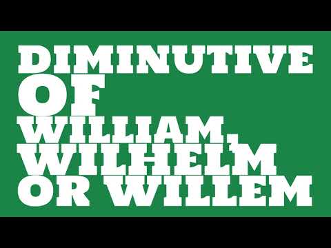 What is the origin of the name Willy?
