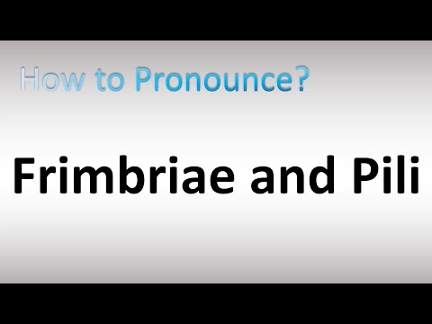 How to Pronounce Frimbriae and Pili