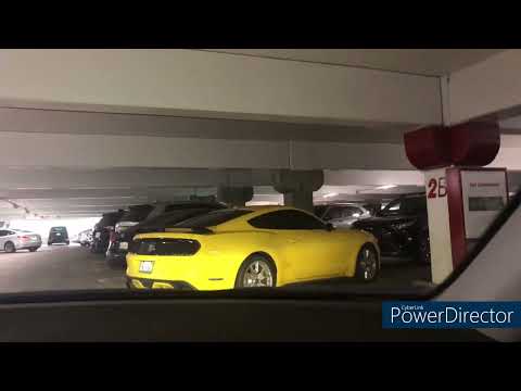 LAX Airport P3 301 World Way Car park (in-Parking Machine-out)