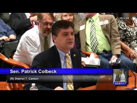 Michigan: Sen. Patrick Colbeck talks about security problems and other ...