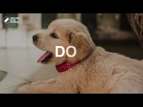 35 Words That Define Animals in English @englishpluswords