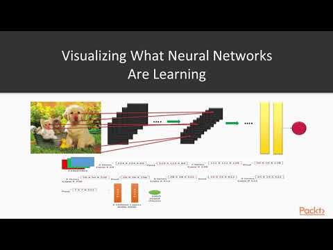 Learn Java Machine Learning for Computer Vision What Are Convolution N W Layers Learning ...