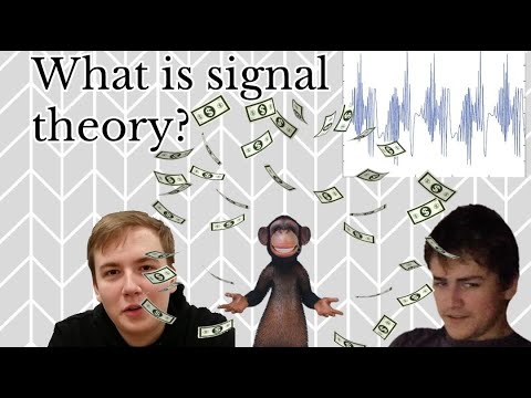 What is Signal Theory?