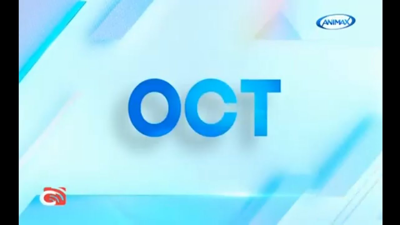 Animax Asia Continuity - October 2024