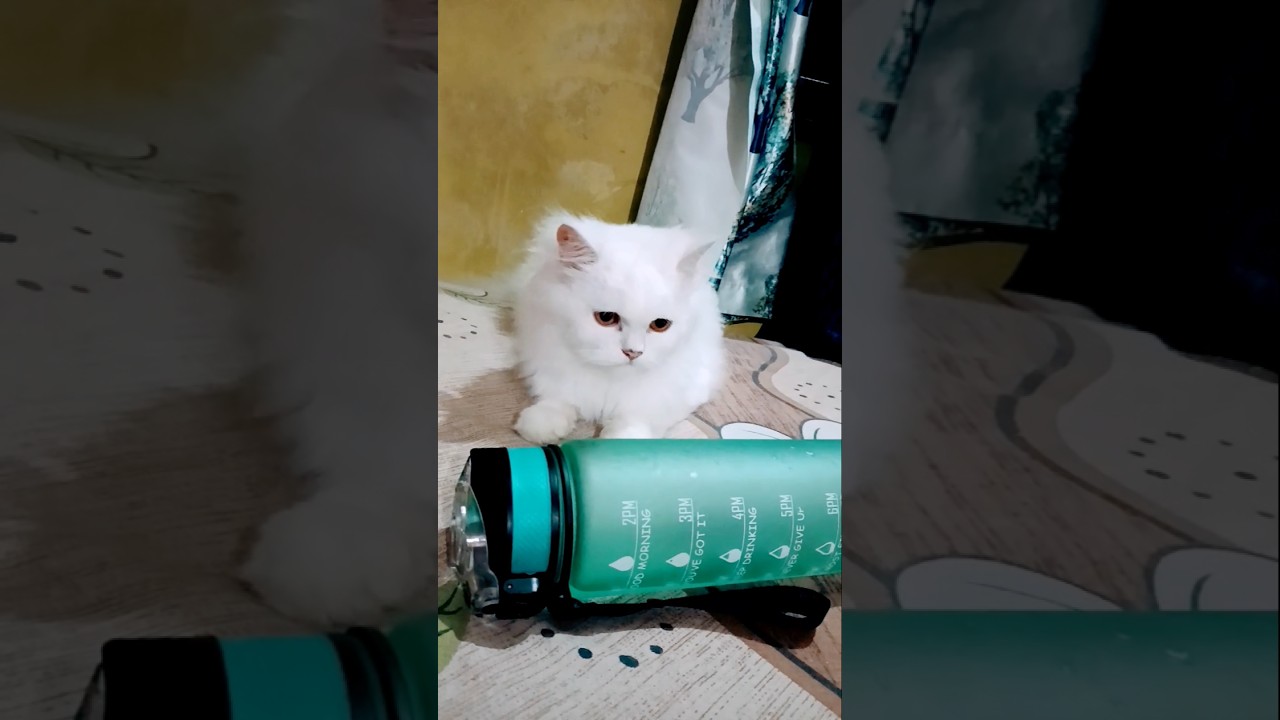 lovely ##lovely anny##😊😍