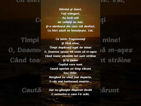 Poezia "Bătrâni și tineri", de Ana Blandiana #poezie #bătrâni #tineri #anablandiana #vocecm #booktok