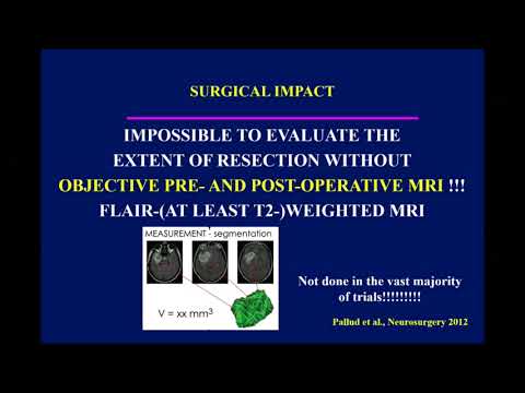 The 3rd INRC-Amsterdam 2018: Low Grade Gliomas. A Lecture from Prof Hugues Duffau