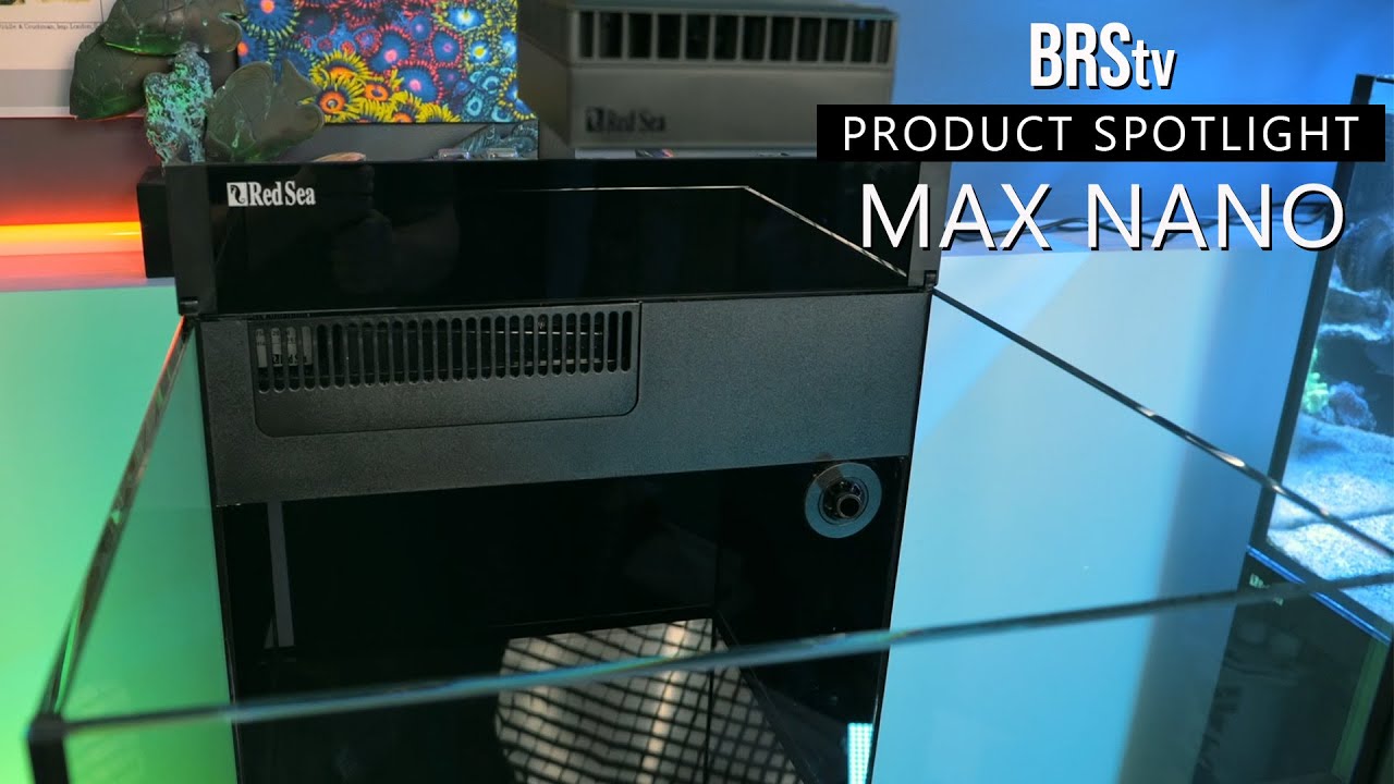 The King of All in One Reef Tanks? Red Sea Max Nano