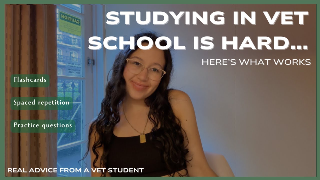 How I Study in Vet School | Flashcards, Spaced Repetition, and Real Advice