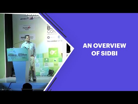 An overview of SIDBI