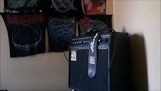 Ampeg SS-70 - What To Know & Where To Buy | Equipboard