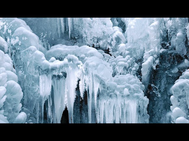 What is a frost quake? Reason behind cold phenomenon in Chicago explored