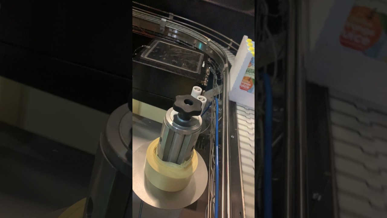 Fully Automatic Print & Apply System with Zebra ZE500 Print Engine