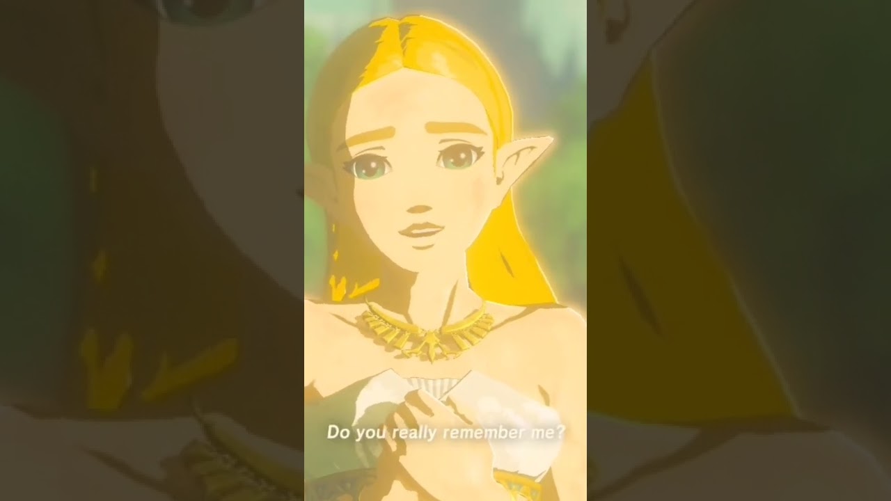 When you still wear your stupid outfit during the cutscene | Zelda BotW
