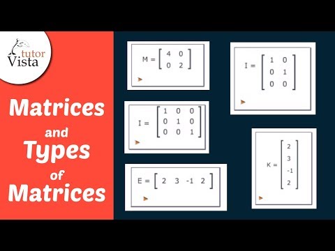 Matrices and Types of Matrices | Definition |Examples