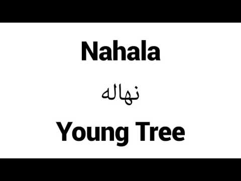 How to Pronounce Nahala! - Middle Eastern Names