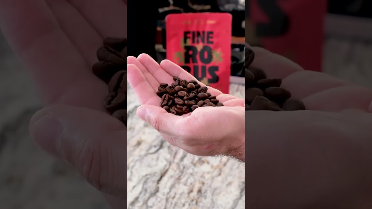 Durian Fine Robusta. Bazan Coffee x Barista in pajamas