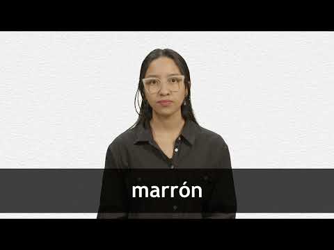 English Translation of “MARRÓN” | Collins Spanish-English Dictionary