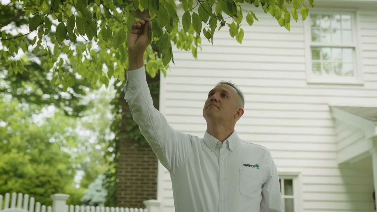 Tree Protection During Construction