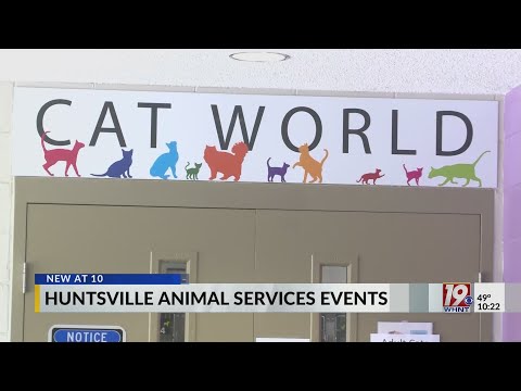 Huntsville Animal Services Events | October 15, 2024 | News 19 at 10 p.m.