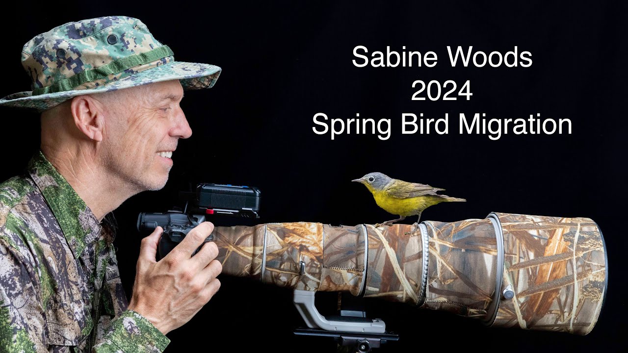 Sabine Woods 2024 Spring Bird Migration
