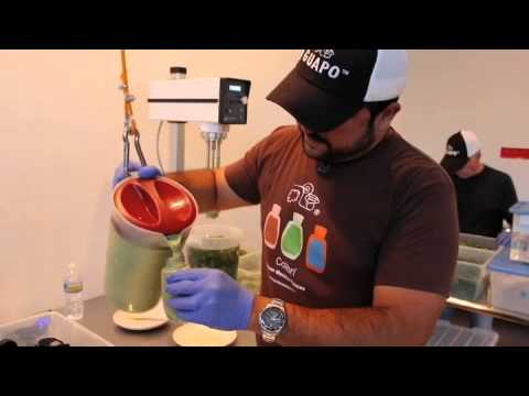 MESOMEX Artisan Mexican Sauces