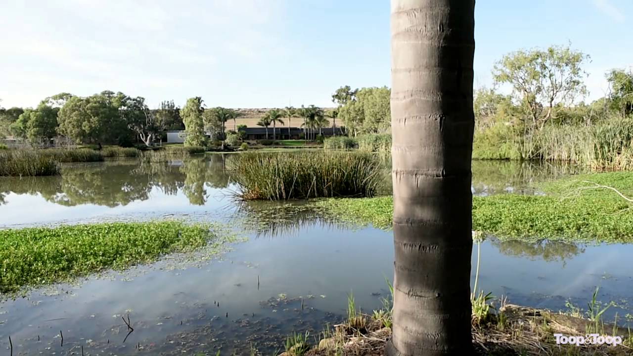 1193jervois.toop.com.au